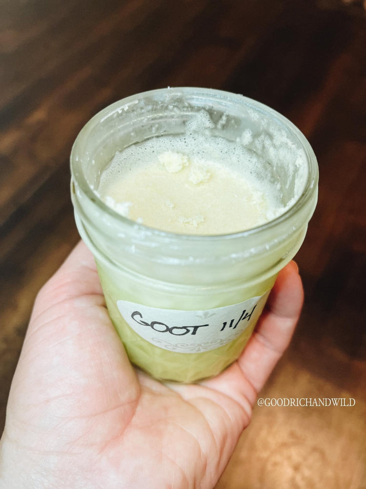 GOOT (Garlic Oil Ointment Treatment) – Goodrich and Wild